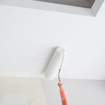 Painting on to New Plaster | Essential Tips to Follow