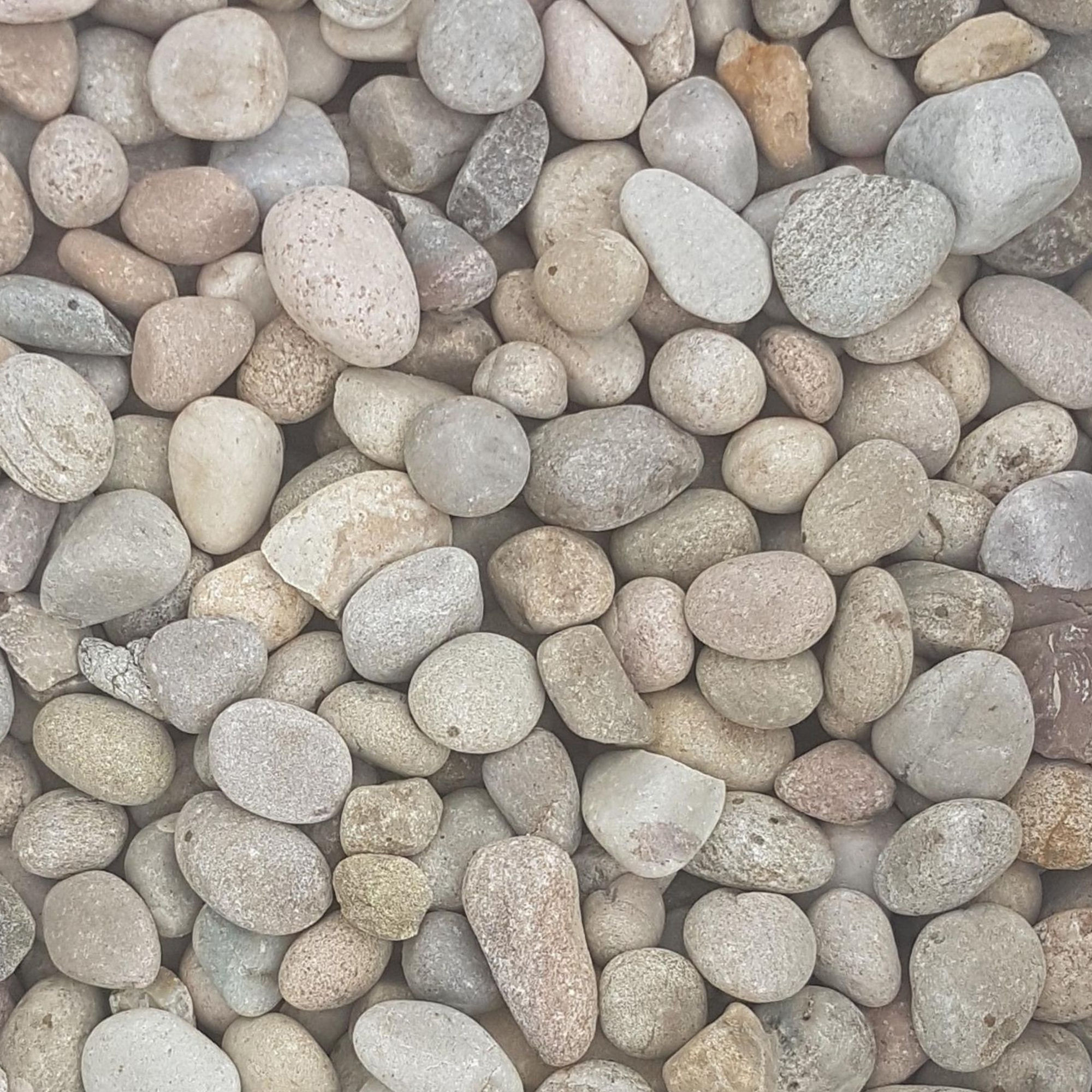 Scottish Pebbles 20-30mm Approx 20kg Poly Bag