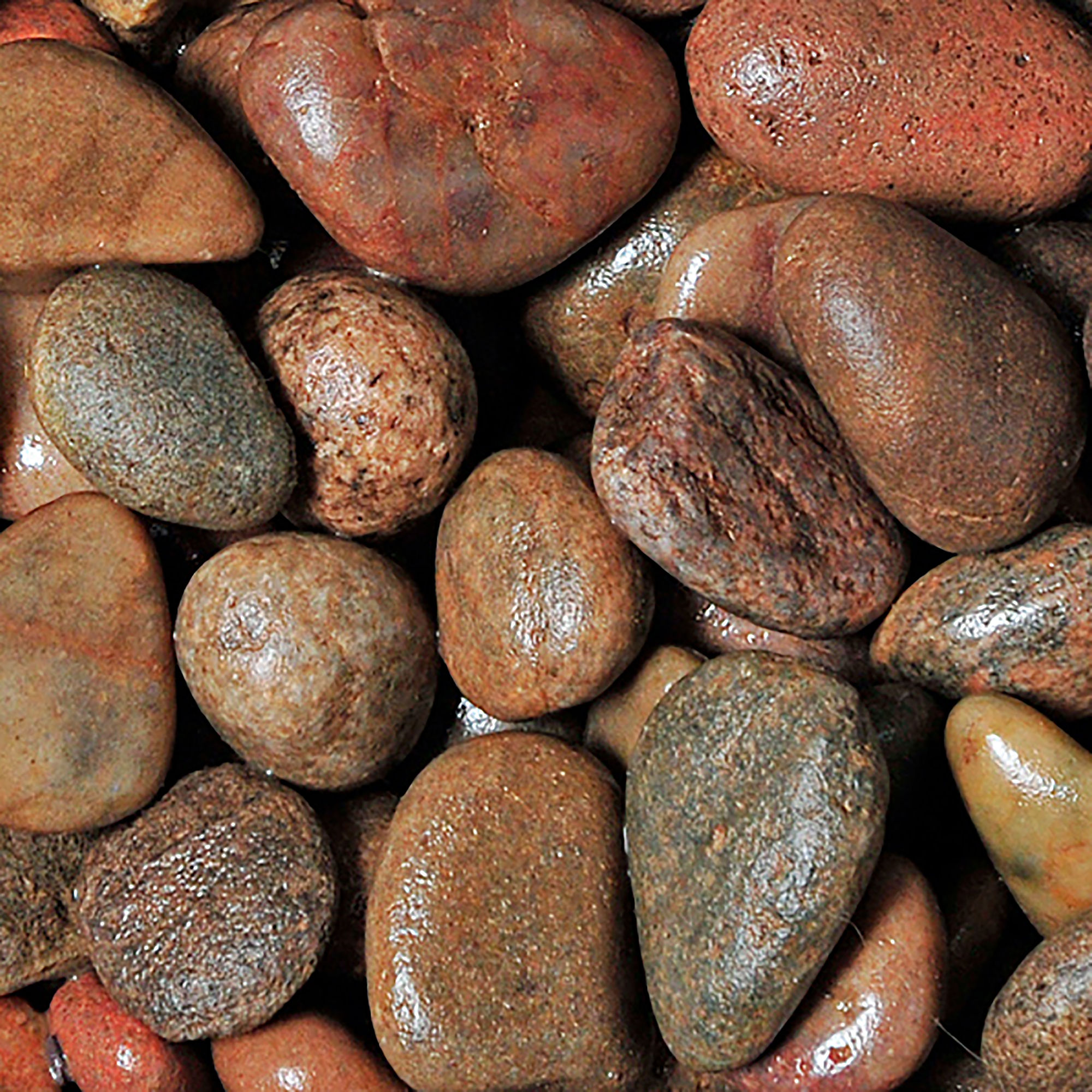 Scottish Pebbles 30-50mm - 25kg Poly Bag