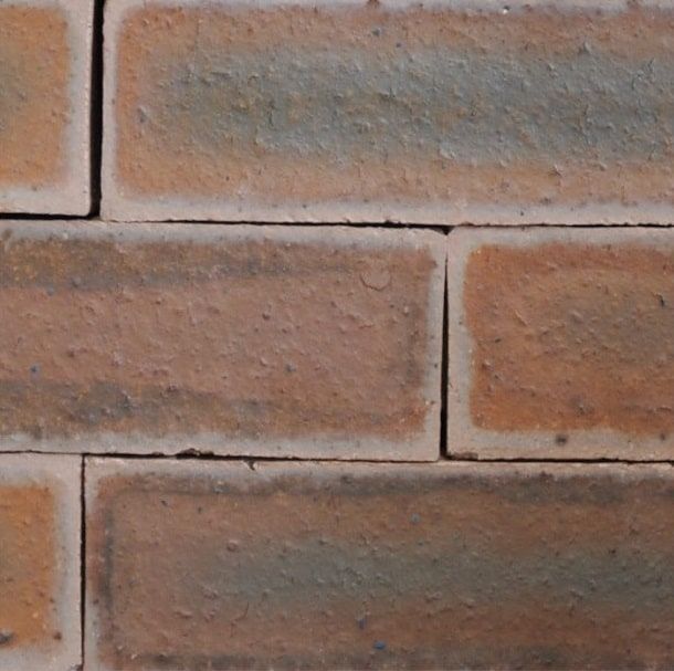 Scottish Common 65mm