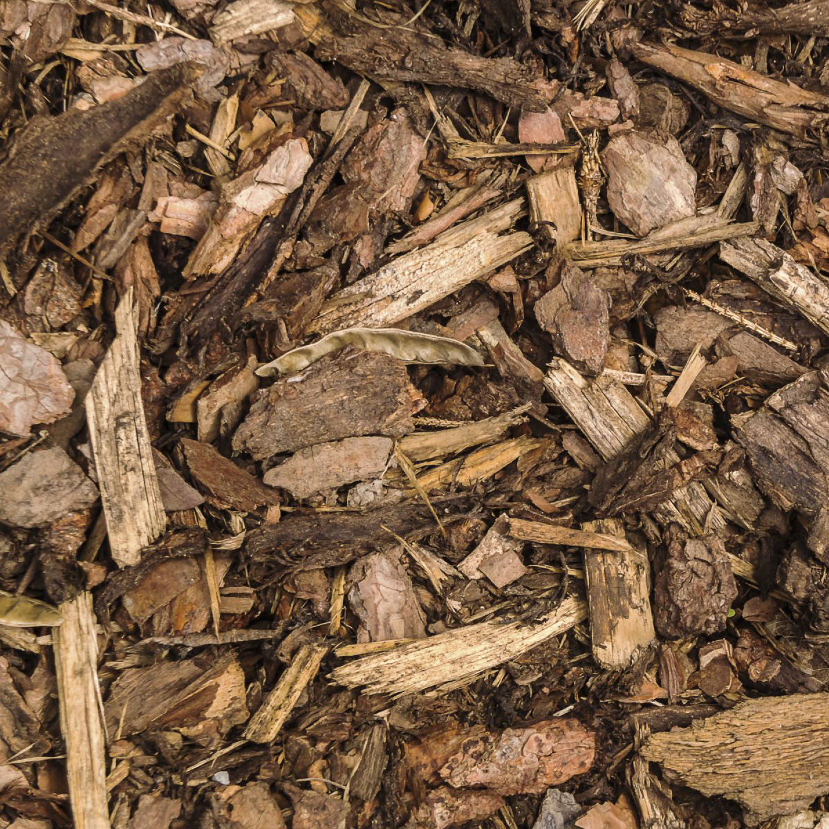 Decorative Ornamental Chip Bark