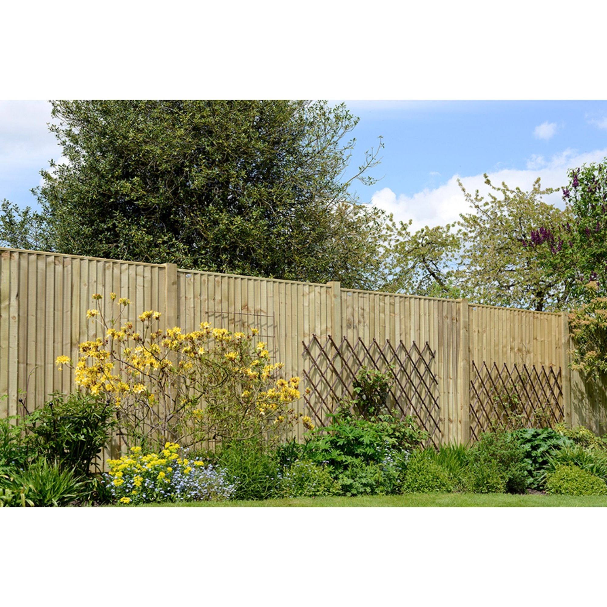 Grange Weston Featheredge Fence Panel Treated - Green